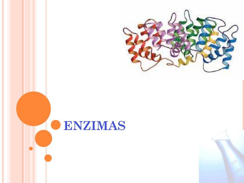 Enzimas | Ana Paola Mercado | uDocz