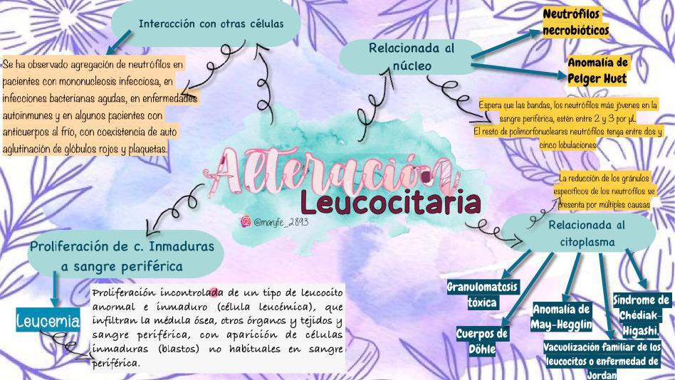 Hematología | uDocz