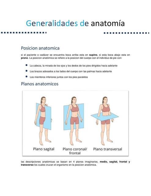 Generalidades de Anatomía | MARIA JOSE DE AVILA RAMOS | uDocz