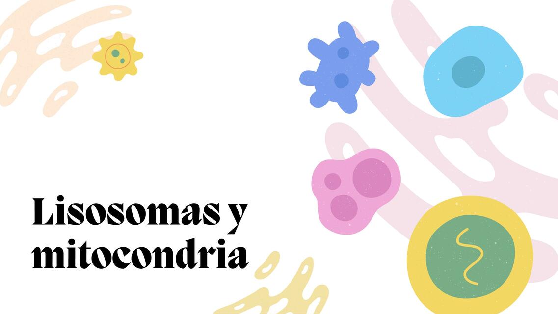 Lisosomas y mitocondria | Monserrat Ocampo Montero | uDocz