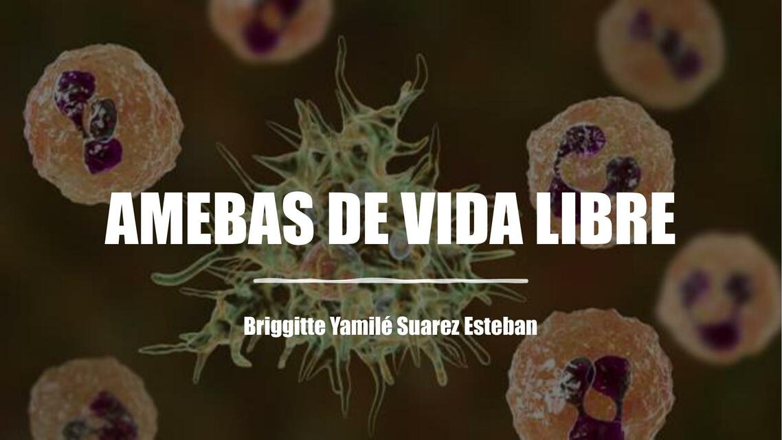 Parasitología de las Amebas de vida libre patógenas para el hombre | Briggitte Yamilé Suarez ...