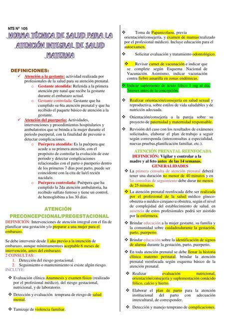 Norma Técnica de Salud para la Atención Integral de Salud Materna | RUTH SHOMARA YAQUELLO LLANO ...