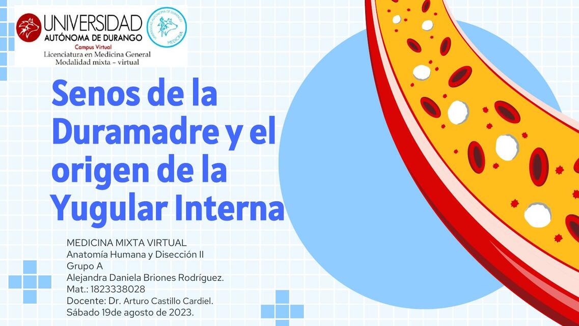 Senos de la duramadre y el origen de la yugular interna | Ale Briones ...
