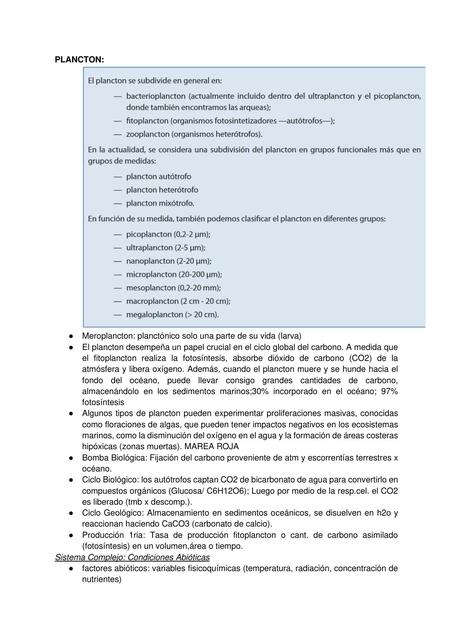 Plancton | Sunny Bloomy | uDocz