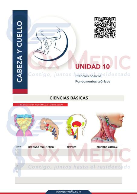 Cirugía de cabeza y cuello 1 | MEDICSTORE | uDocz