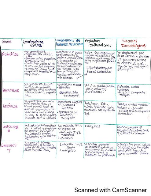 Cuadro Comparativo de las Células | Betzabé | uDocz