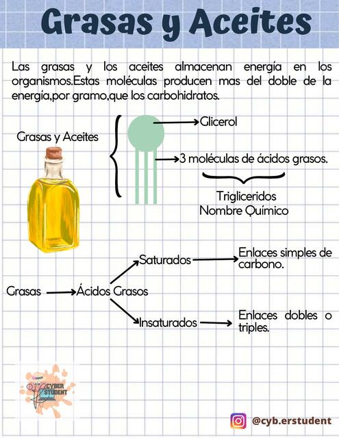 Grasas y aceites | CYBER STUDENT | uDocz