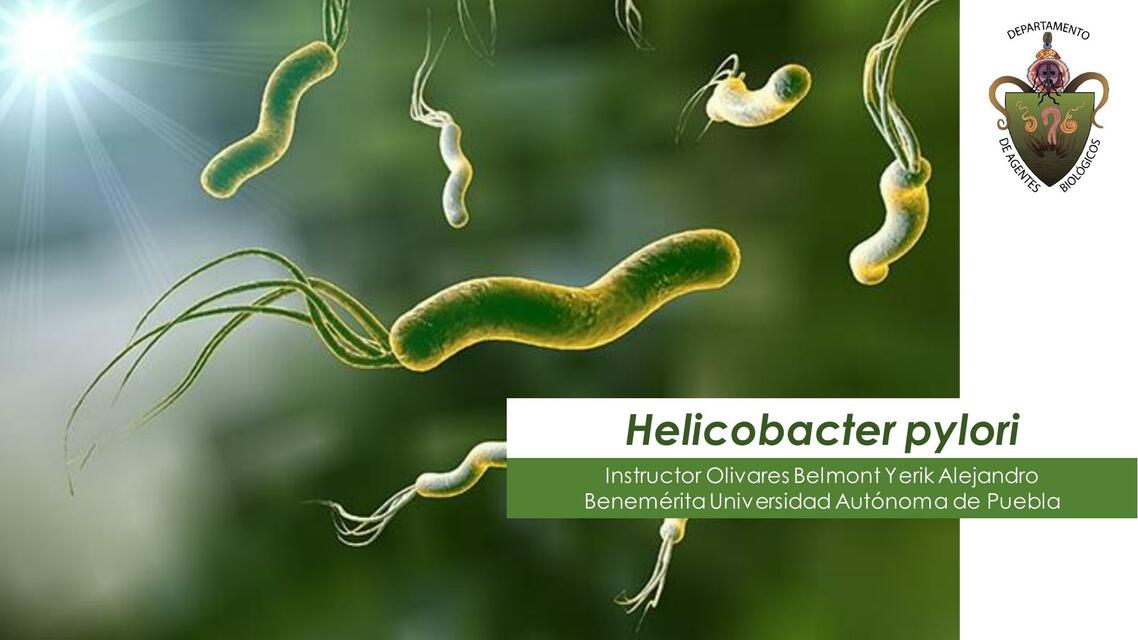 Helicobacter Pylori | Anónimo | uDocz