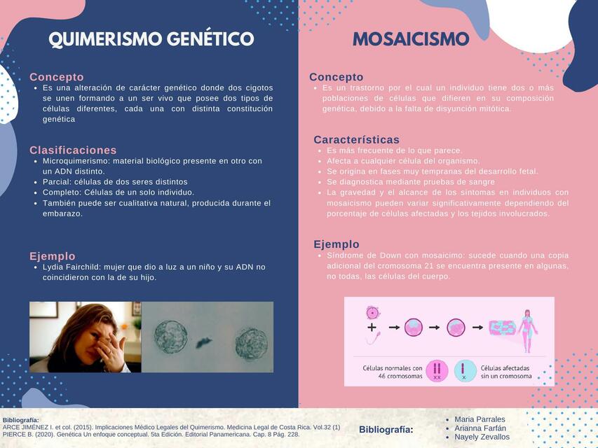 Quimerismo y Mosaicismo | Beli | uDocz