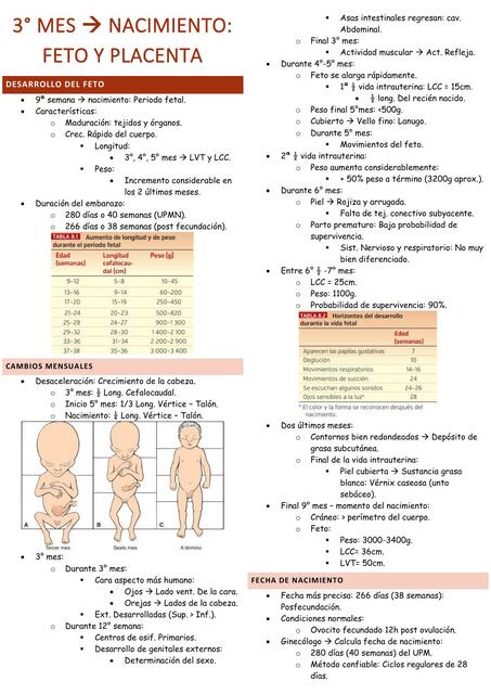 3 Mes- Nacimiento: Feto y Placenta | Daniel Rodriguez | uDocz