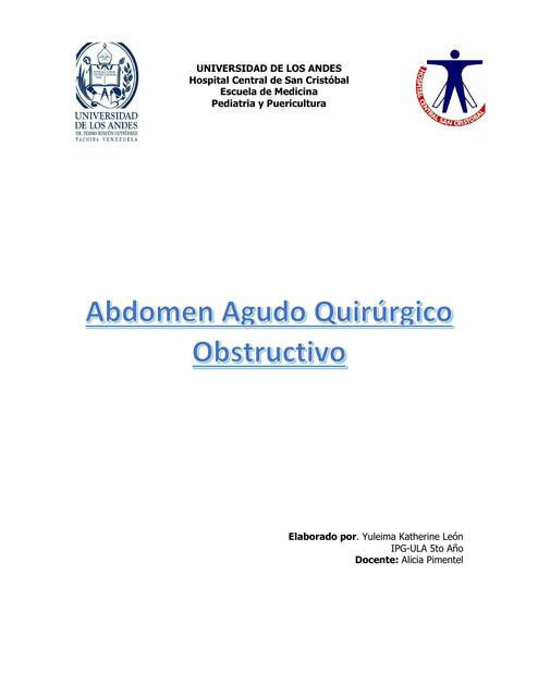 Abdomen Agudo Obstructivo | Resúmenes medicos | uDocz