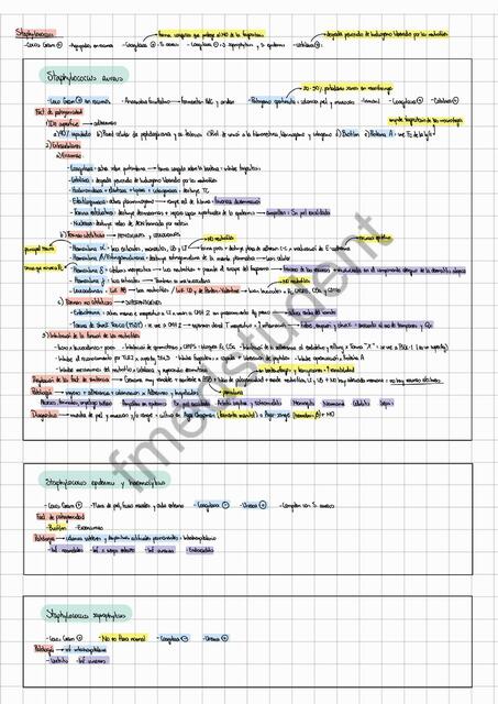 Seminario 2 | Fmedstudent | uDocz