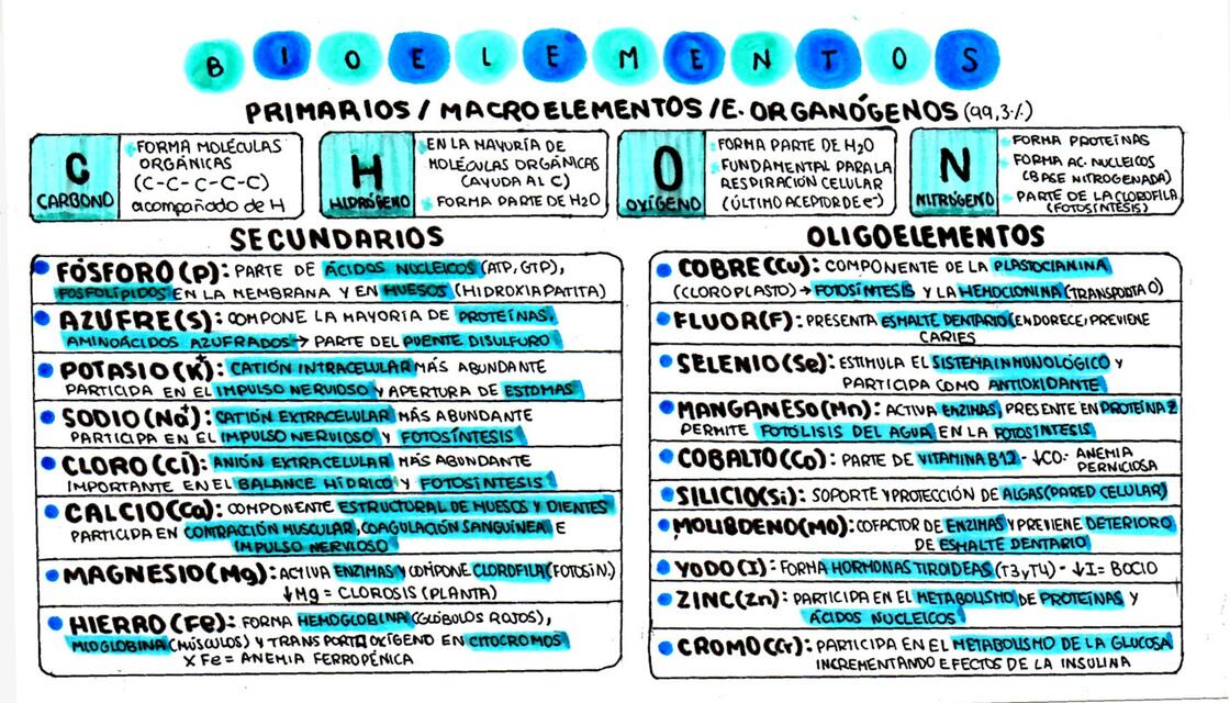Bioelementos | uDocz