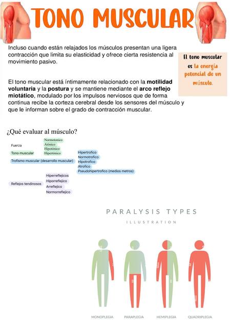 Tono muscular | Max Vázquez | uDocz