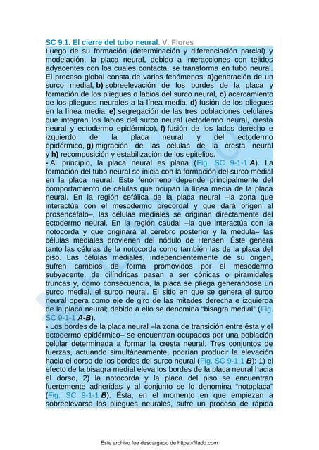 El Cierre del Tubo Neural | Sofia Josefa | uDocz