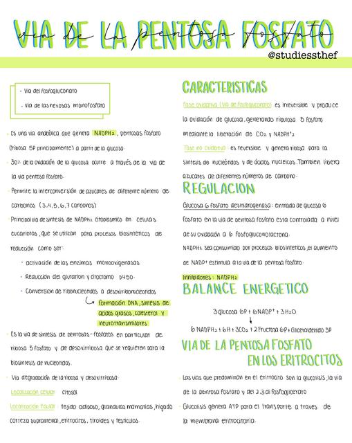 Via de La Pentosa Fosfato | Esthefany Pérez Zambrana | uDocz