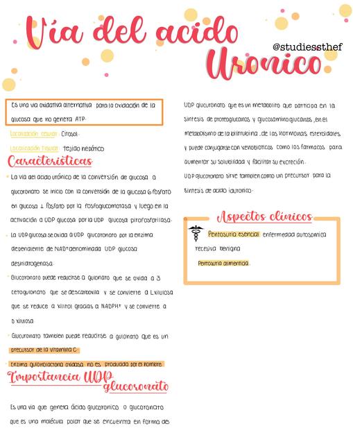 Via del acido uronico | Ácido úrico | Clínica | uDocz Via del acido uronico | Ácido úrico | Clínica | uDocz