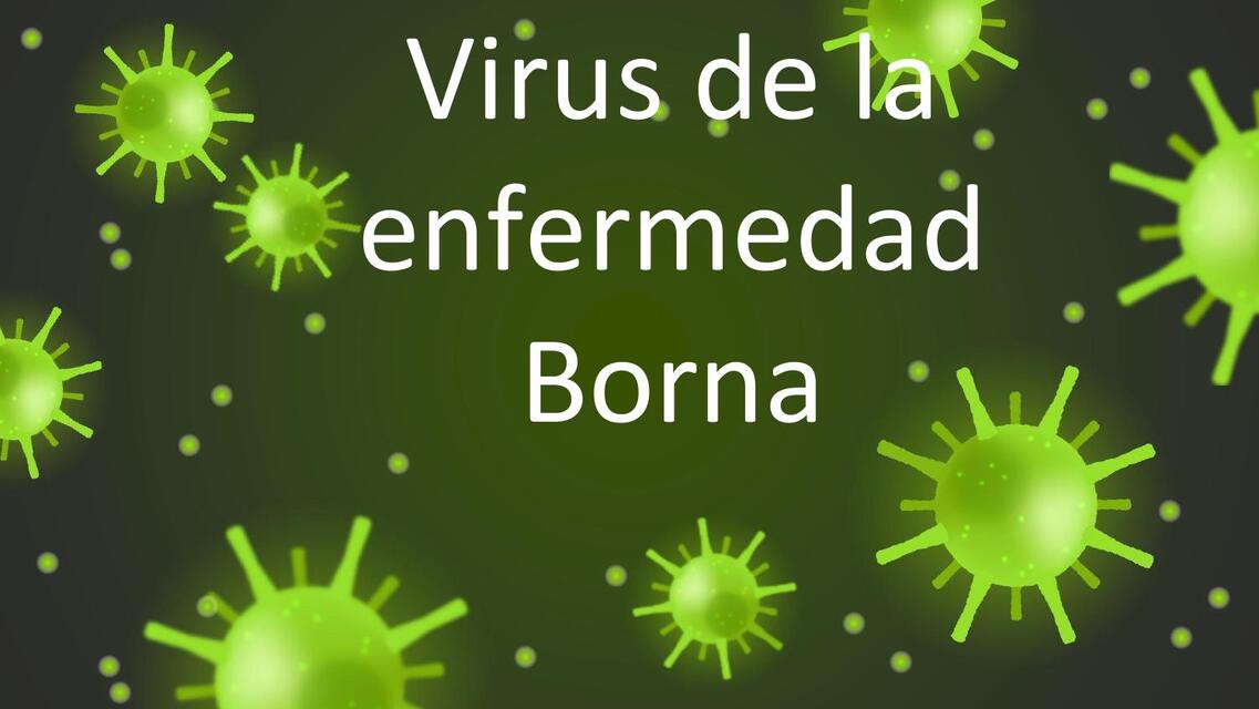 Virus de la enfermedad Borna | Naghely Tapia | uDocz