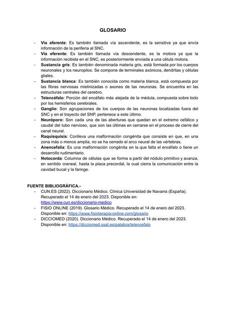 Glosario del Sistema Nervioso | Mafer Alvarez | uDocz