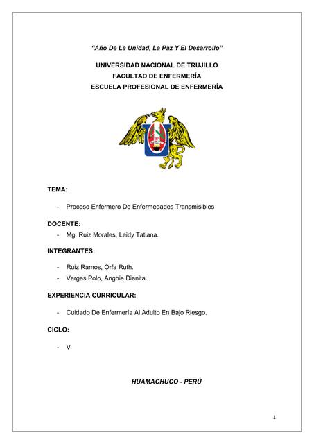 Proceso Enfermero De Enfermedades Transmisibles | ORFA RUTH RUIZ RAMOS ...