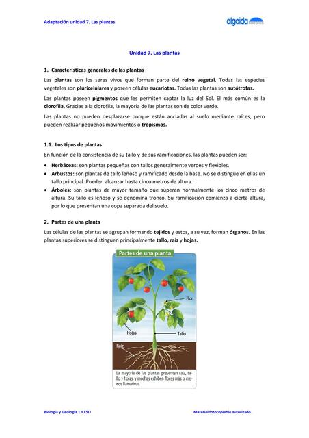 Unidad 7 las Plantas | Biología y Vida | uDocz