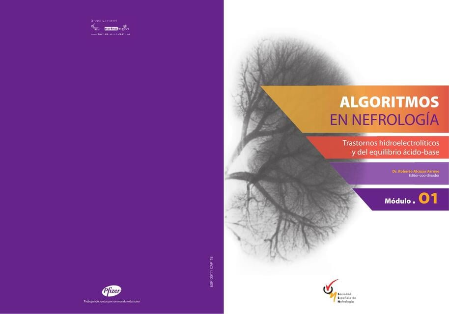 Algoritmos en Nefrología | JAKIN IRINA SANCHEZ URIBE | uDocz