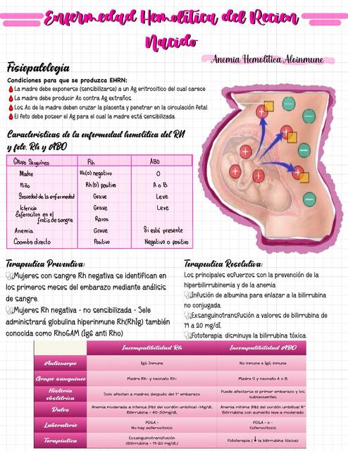 Enfermedad Hemolítica del Recién Nacido | ⚕️📝MaryFe_Notes/María Ovalle📝 ...