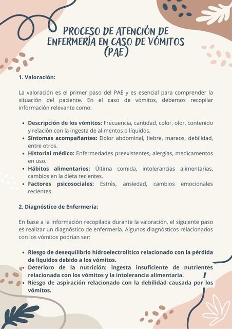 Proceso de Atención en Enfermería en Caso de Vómitos (PAE) | Lucía ... Proceso de Atención en Enfermería en Caso de Vómitos (PAE) | Lucía ...