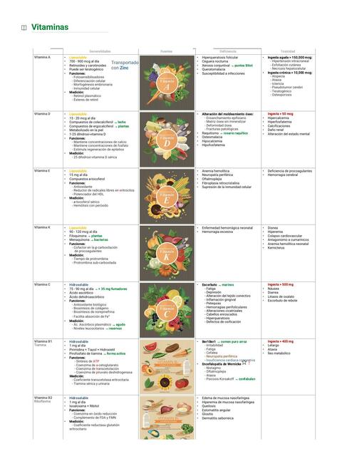 Vitaminas Nutrición | uDocz