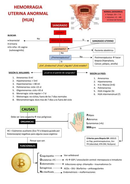 Hemorragia uterina anormal | Nicole Caballero | uDocz