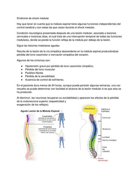 Síndrome de shock medular | Josué Paredes | uDocz