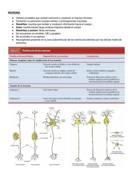 Neuronas | Josué Paredes | uDocz