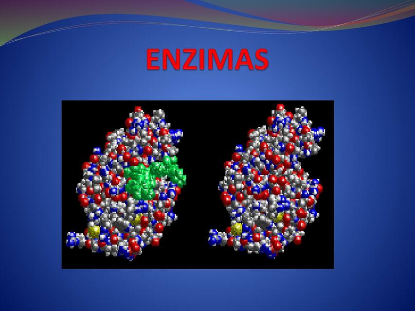 Enzimas | Resúmenes medicos | uDocz