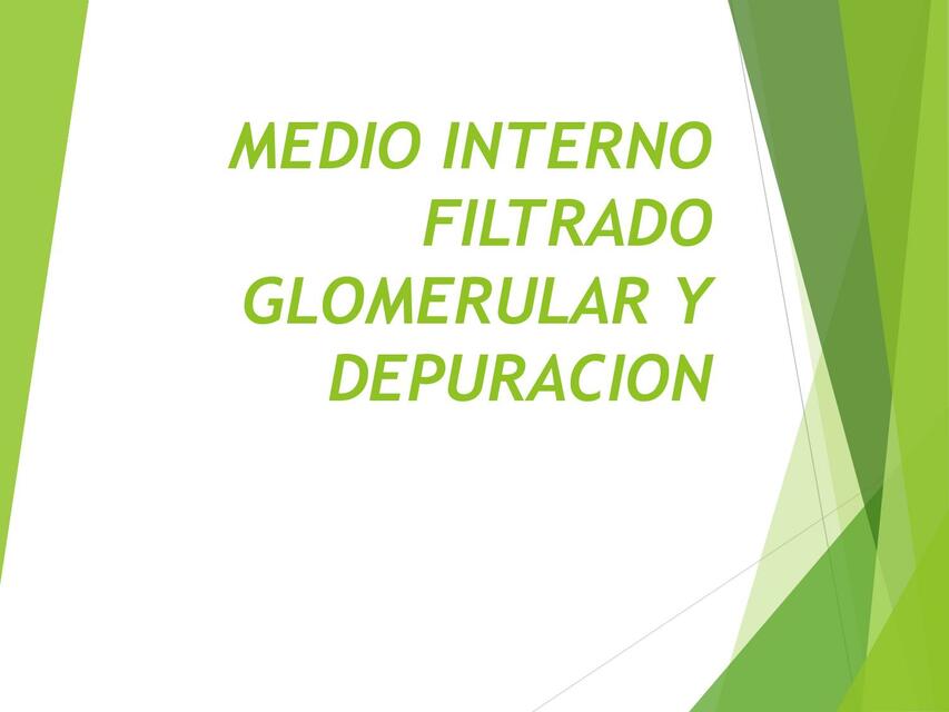 Funcion glomerular | Metotrexato.post | uDocz
