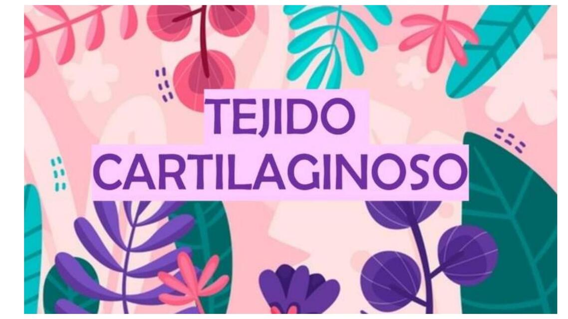 Tejido cartilaginoso | karimedsnotes | uDocz Tejido cartilaginoso | karimedsnotes | uDocz