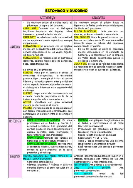 Estómago y esófago | Medicina en la UNER | uDocz