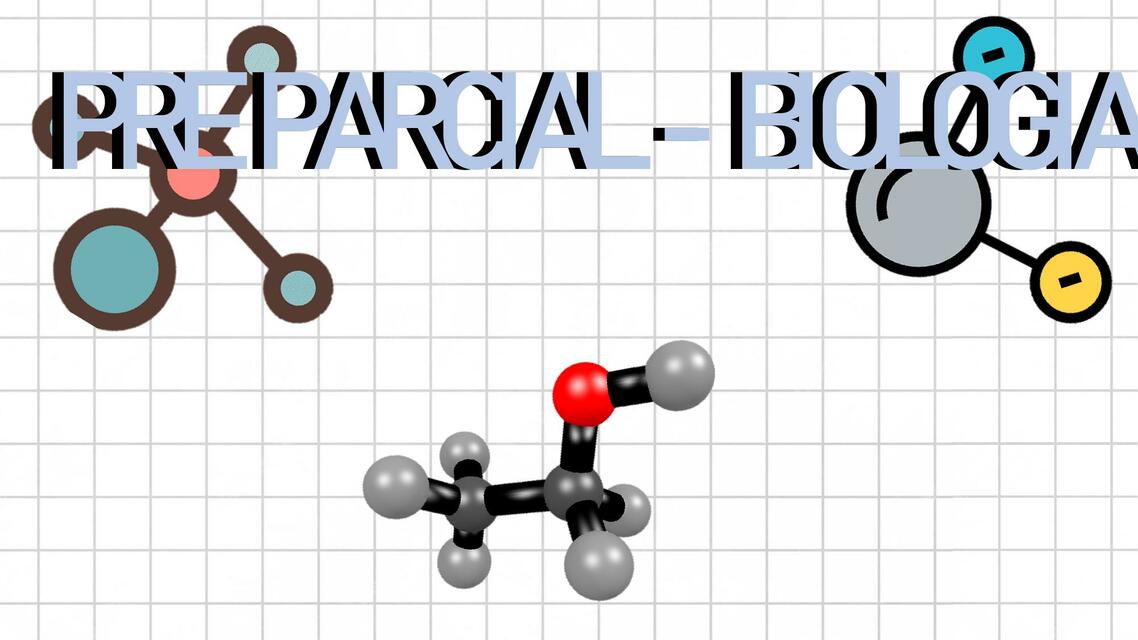 Pre parcial biologia | Luis Rangel | uDocz