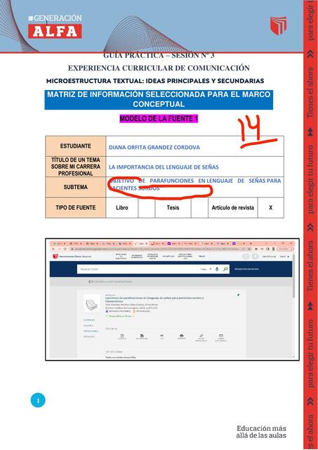 Microestructura Textual: Ideas Principales y Secundarias | conejo | uDocz