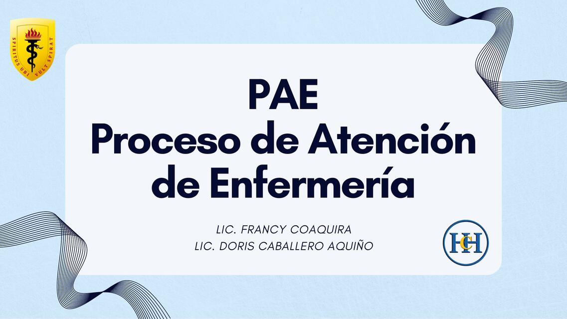 Proceso De Atención De Enfermería Eliane Fierro Rojas Udocz