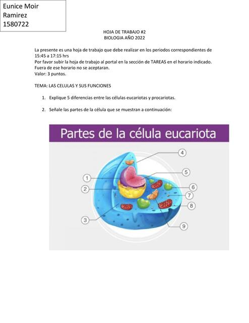 Hoja De Trabajo Biología La Célula | Eunice | uDocz