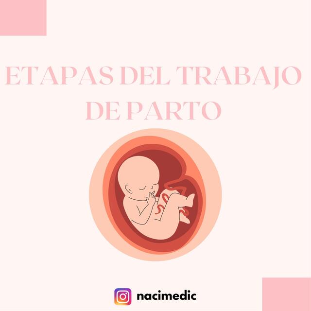 Etapas Del Trabajo De Parto | ana paula nacimiento | uDocz