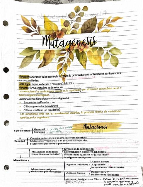 Mutagenesis | MEDIKA NOTES | uDocz