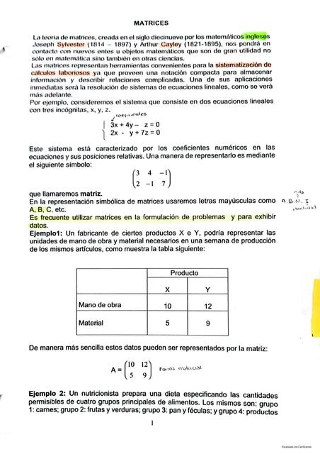 Matrices | Milagros Herrera | uDocz