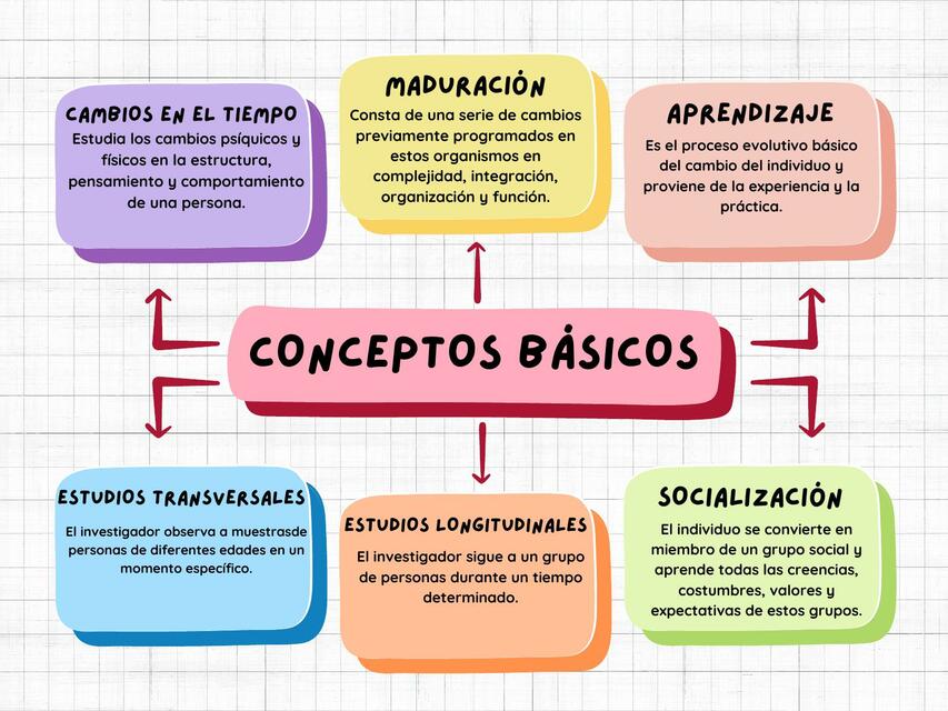Conceptos básicos | Danitza | uDocz