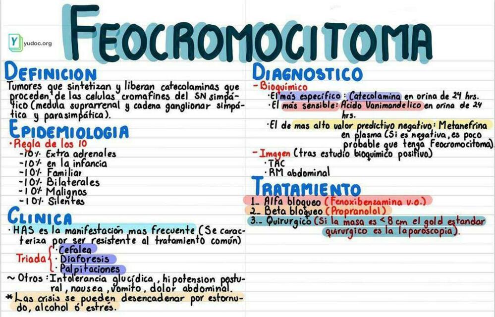 Feocromocitoma | YUDOC.ORG | uDocz
