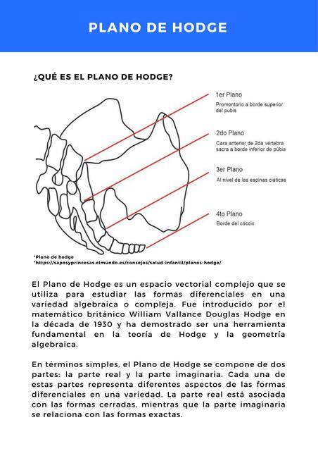 Plano de Hodge | Facilitando tu estudio | uDocz