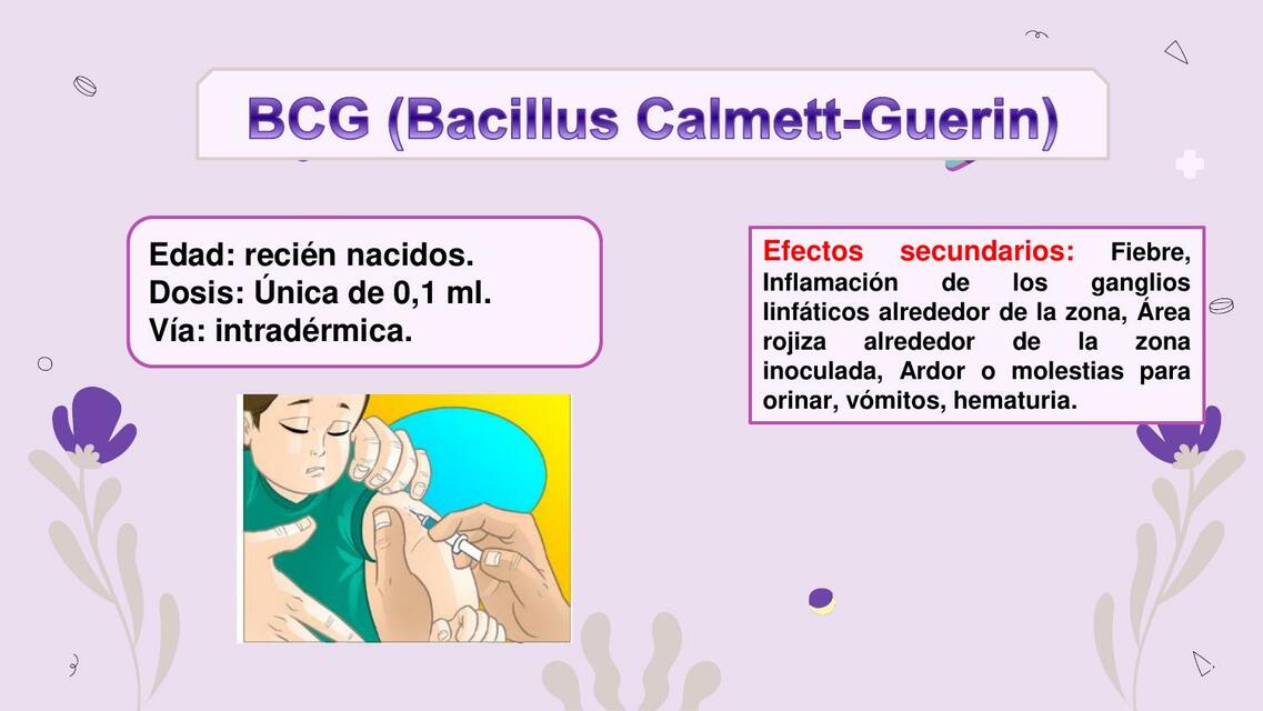 Vacuna BCG | Medicina Óptima | uDocz