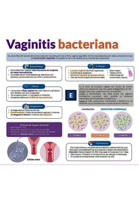 Vaginitis Bacteriana | uDocz