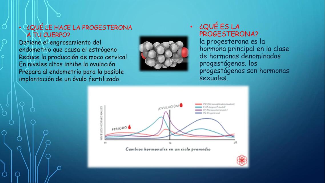 La Progesterona | jhon yañez | uDocz