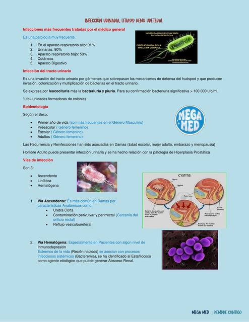 Infección urinaria, litiasis reno ureteral | MEGA MED | uDocz